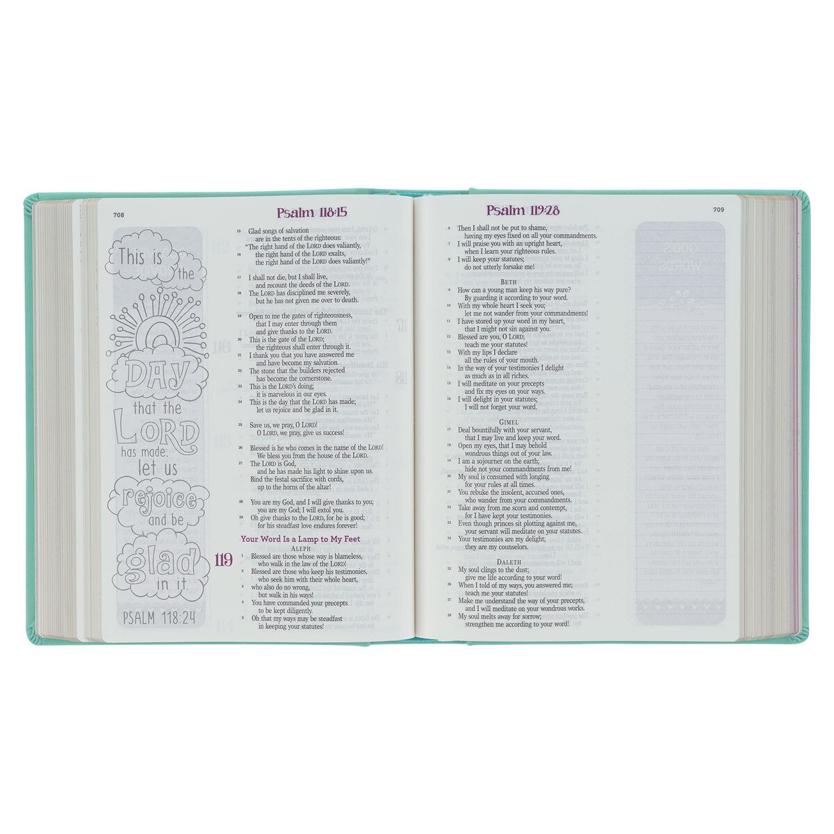 Teal Butterfly Hardcover My Creative Bible for Girls - an ESV ...