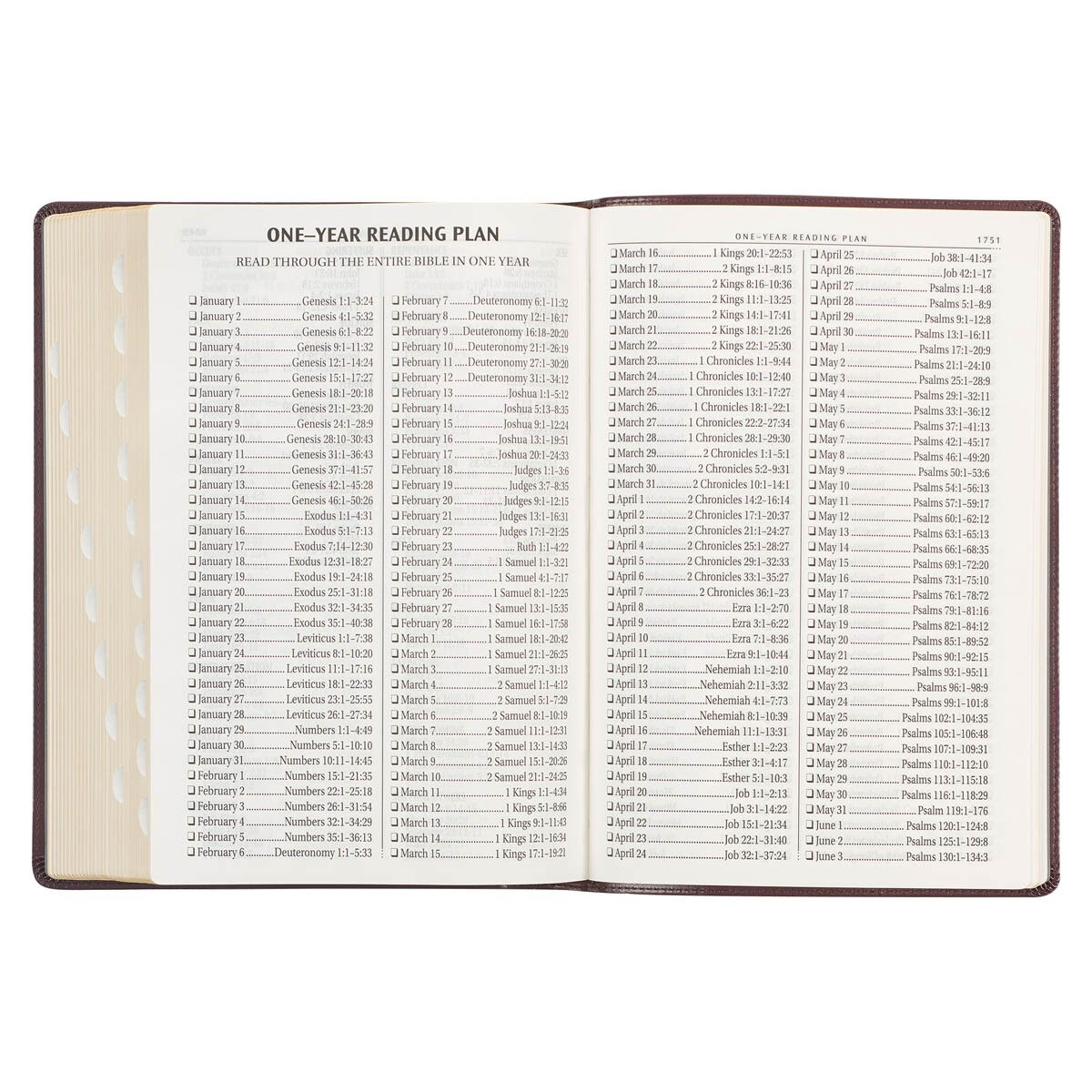 Framed Burgundy Faux Leather Super Giant Print King James Version Bible